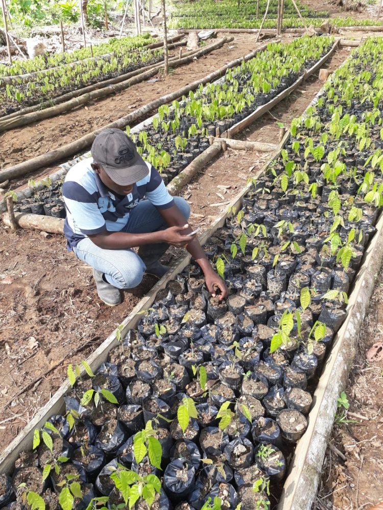 Chocó, enorme potencial biodiverso y agropecuario
