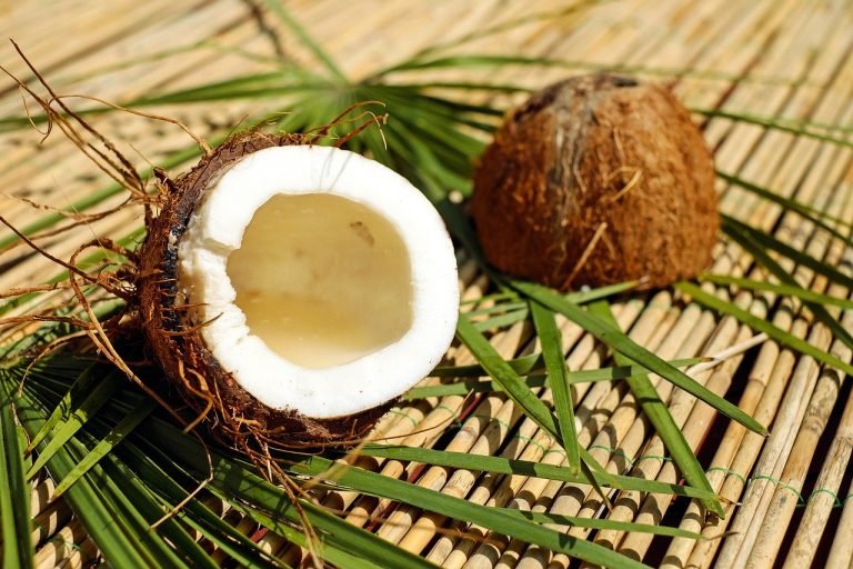 Oportunidad mundial para el mercado del coco de Colombia - ADELASA