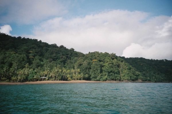 Chocó, enorme potencial biodiverso y agropecuario