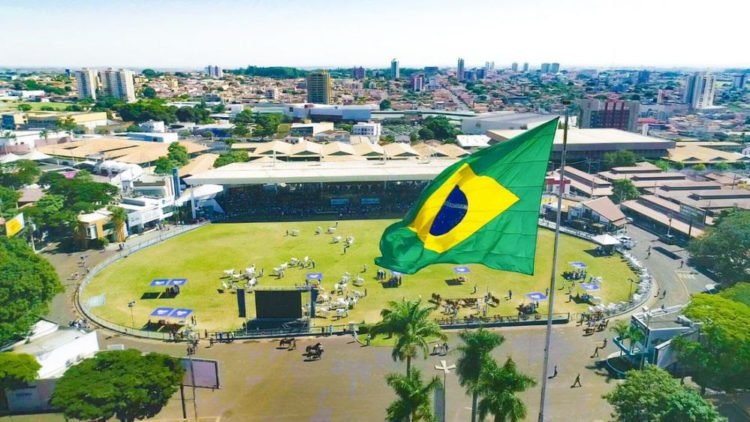 El ganado cebú, protagonista en Brasil - Agricultura de las Americas
