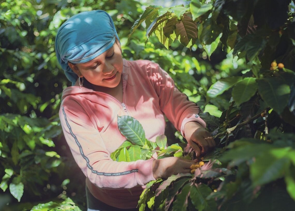 Chocó, enorme potencial biodiverso y agropecuario